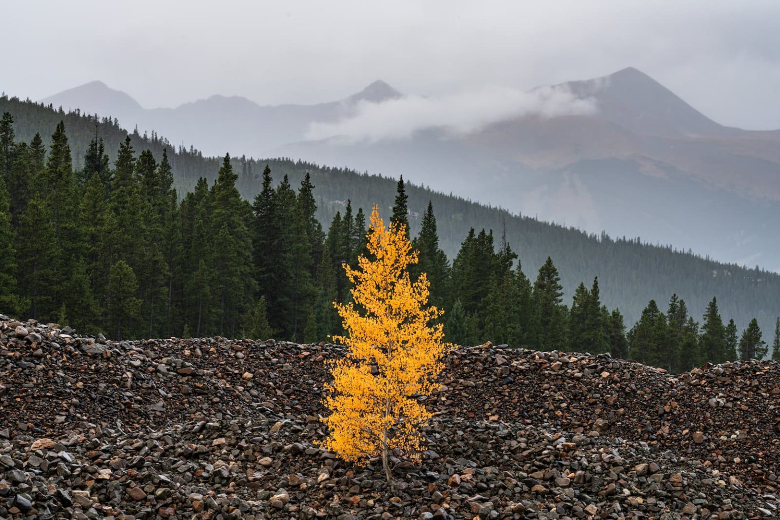 Climate Action Week - High Country Conservation Center